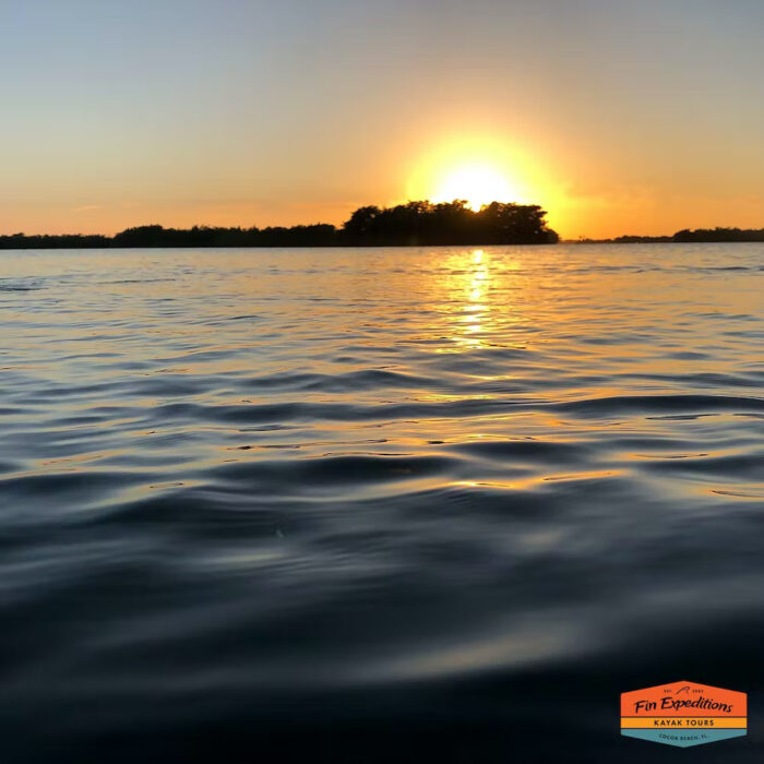 10 Things You Can Do TODAY To Conserve Water! - Fin Expeditions